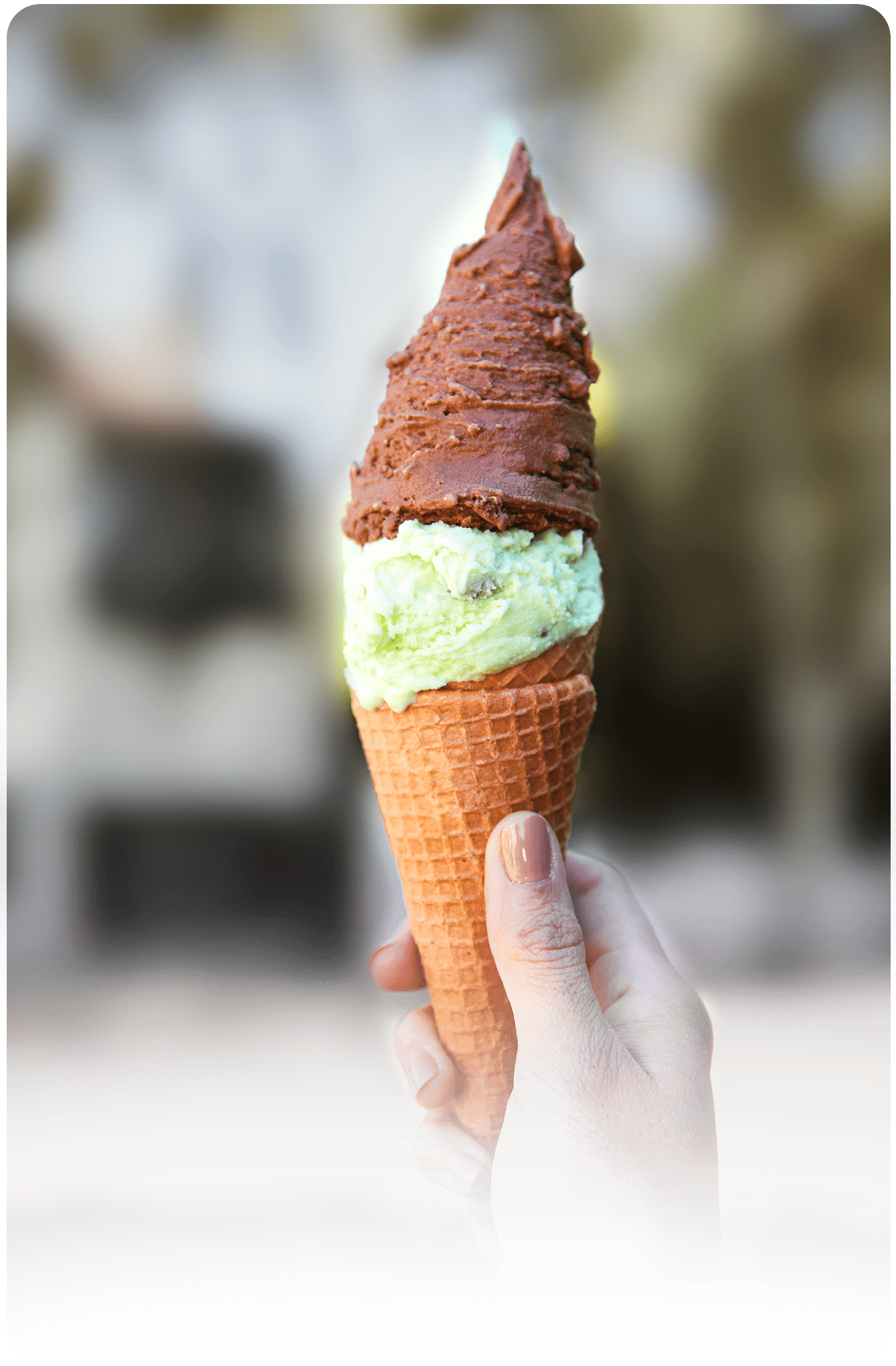 HELADO ARTESANAL – AFADHYA